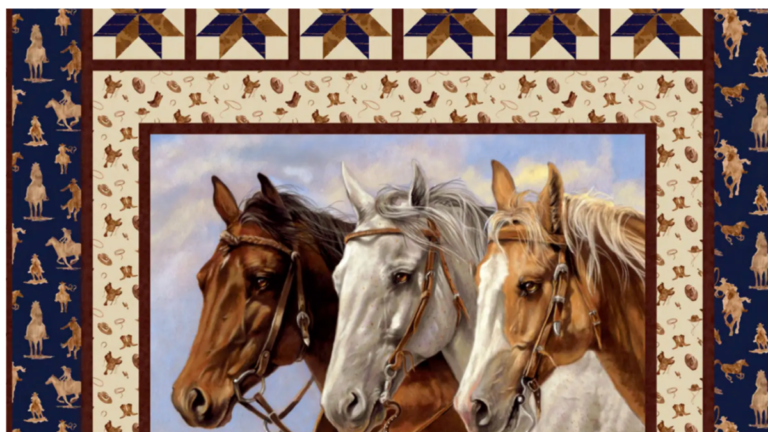 10 Quilts From Panels - Nana Sews